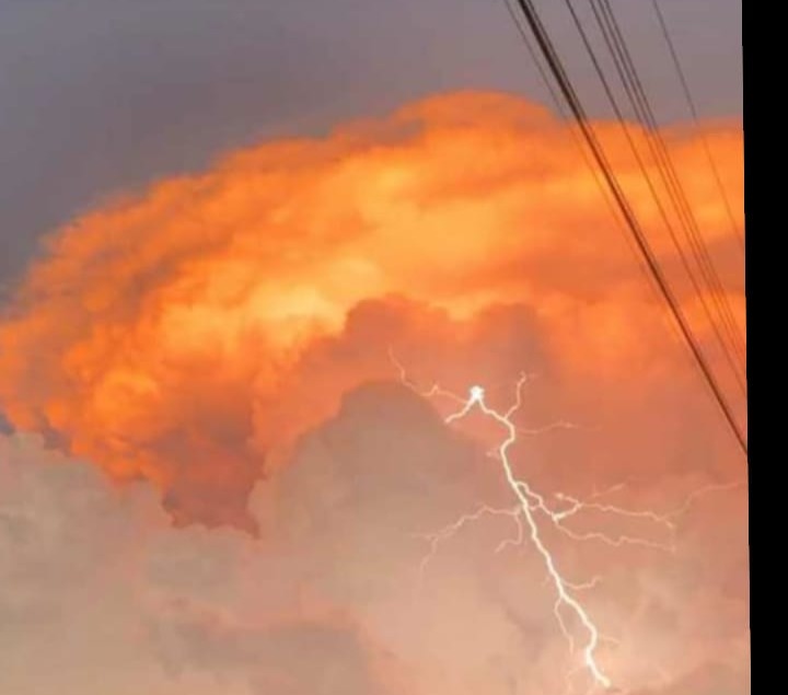 Portal 40 Graus - Curiosidades - INUSITADO